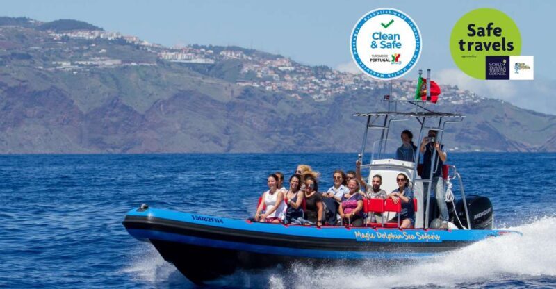 Funchal: Dolphin and Whale Watching Cruise - Why This Dolphin and Whale Watching Cruise is Worth It