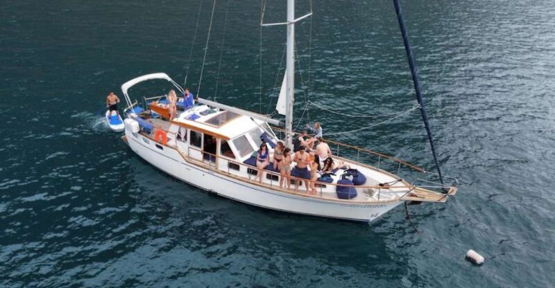 Funchal: Dolphin and Whale Watching Sailing Trip - An Authentic Marine Adventure