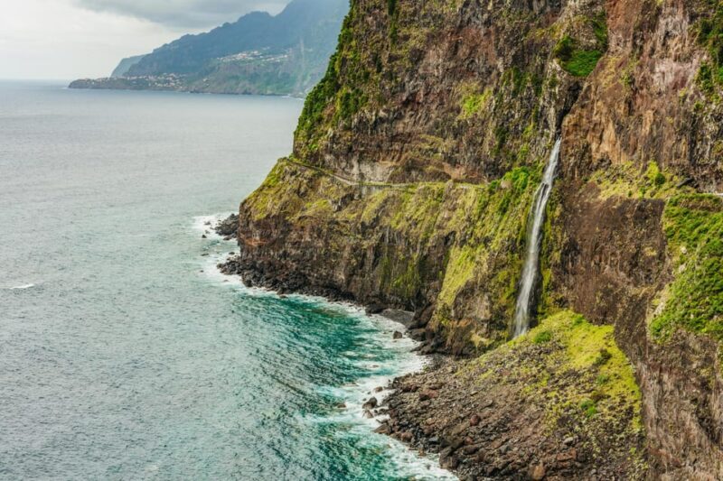 Funchal: Enchanted Terraces, Porto do Moniz & Fanal 4WD Tour - The Benefits of a Small Group and Expert Guides