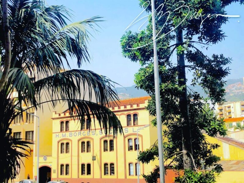 Funchal: H.M. Borges Winery Guided Tour with Wine Tasting - FAQ