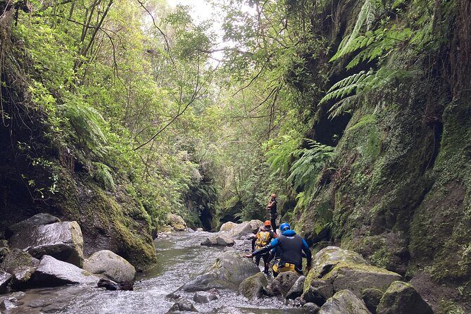 Funchal: Half-day Beginners Canyoning - What to Expect from the Madeira Beginner Canyoning Tour