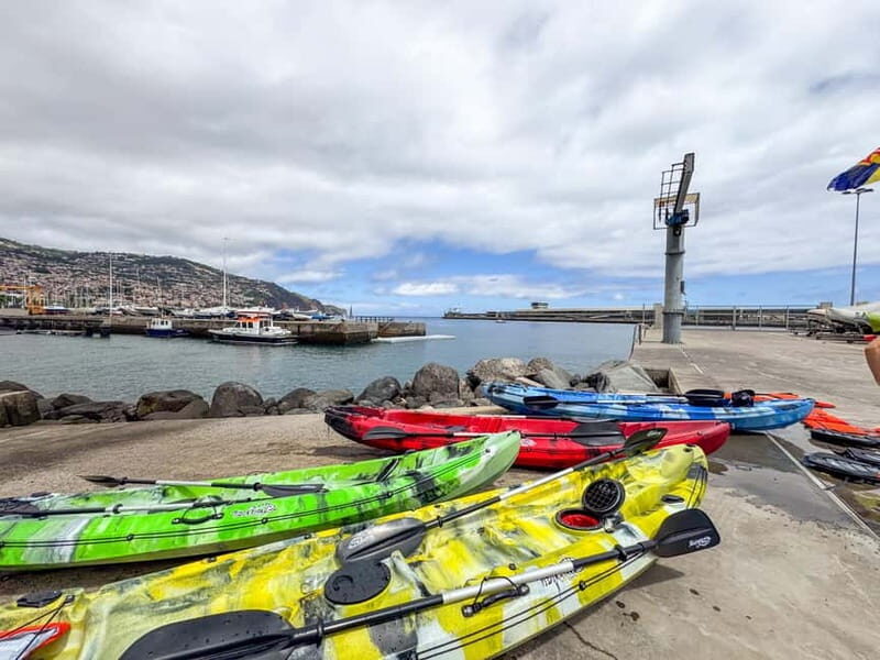 Funchal: Kayak and Snorkel Tour to Garajau NR - Who Should Consider This Tour?