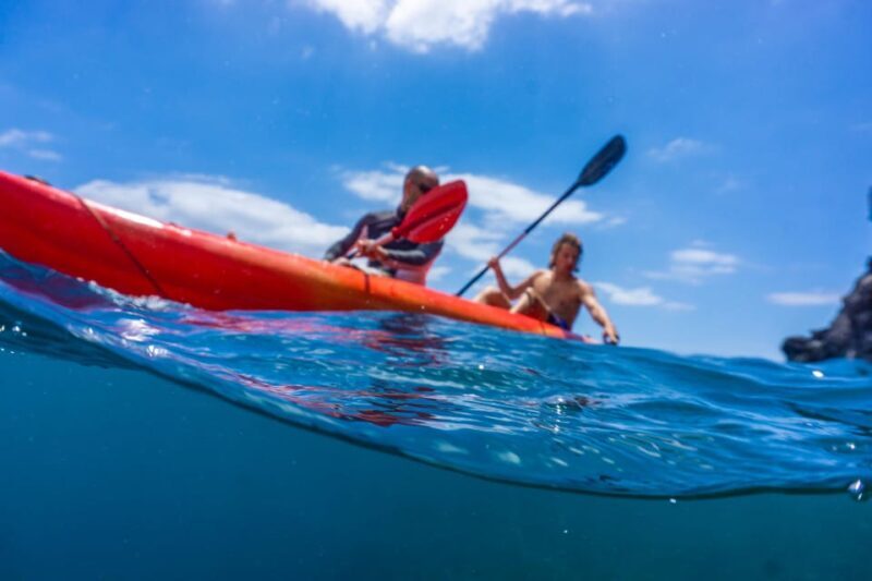Funchal: KAYAK Rental or Guided tour with snorkeling - What to Expect from the Funchal Kayak and Snorkeling Tour