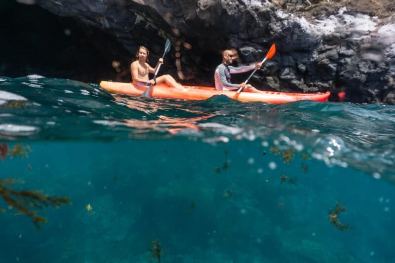 Funchal: KAYAK Rental or Guided tour with snorkeling - Price and Value