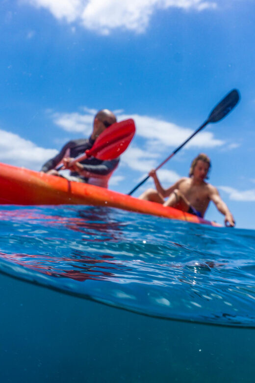 Funchal: KAYAK Rental or Guided tour with snorkeling - Who Will Love This Tour?
