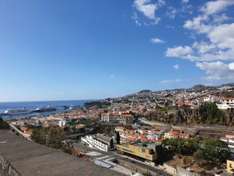 Funchal: Madeira Botanical Garden Tuk-Tuk Tour + Old Town - Key Points