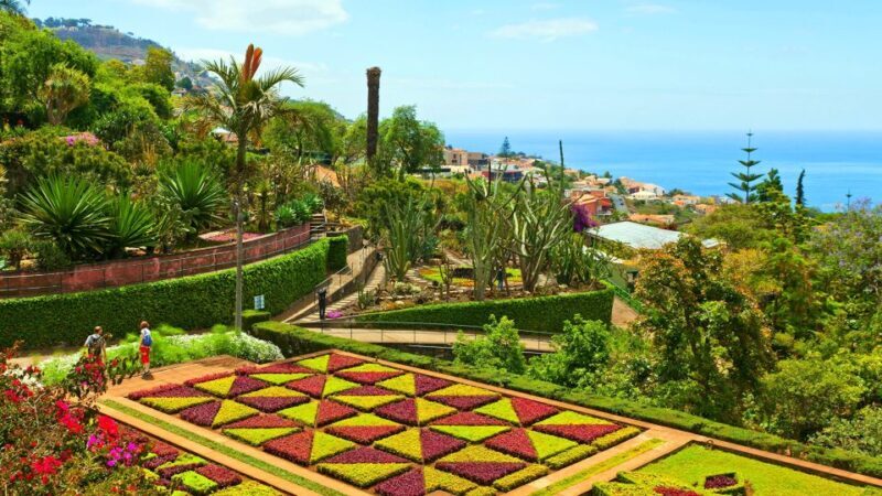 Funchal: Madeira Botanical Garden Tuk-Tuk Tour + Old Town - How the Tour Is Structured and What to Expect