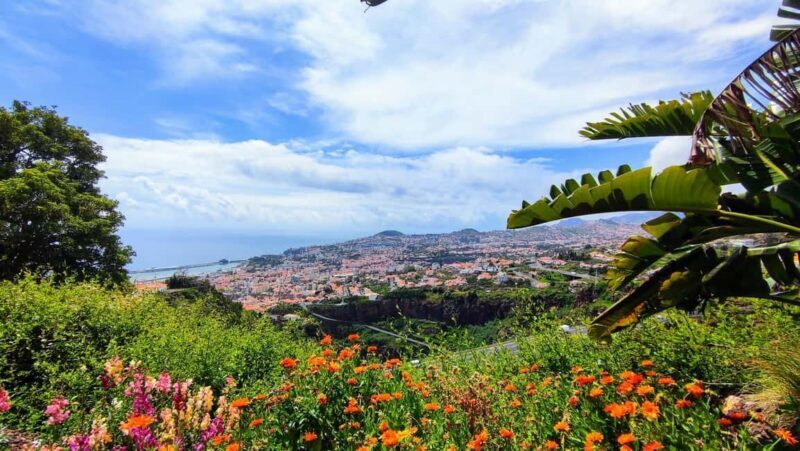 Funchal: Madeira Botanical Garden Tuk-Tuk Tour + Old Town - The Real Value of This Tour