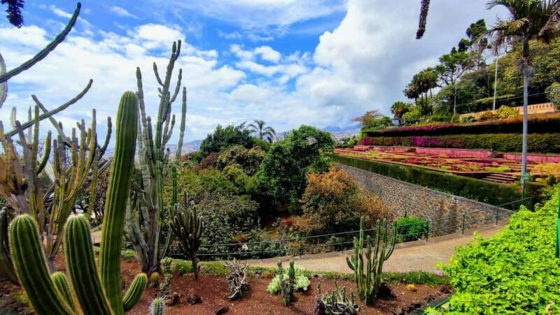 Funchal: Madeira Botanical Garden Tuk-Tuk Tour + Old Town - Final Thoughts