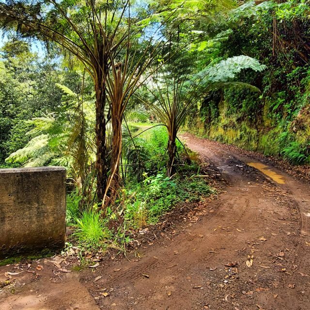 Funchal: Madeira Island 4x4 Private Customizable Tour - Why Choose a Private 4x4 Tour in Madeira?