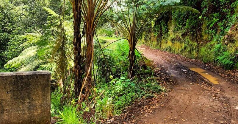 Funchal: Madeira Island 4x4 Private Customizable Tour - Final Thoughts: Is This the Right Tour for You?