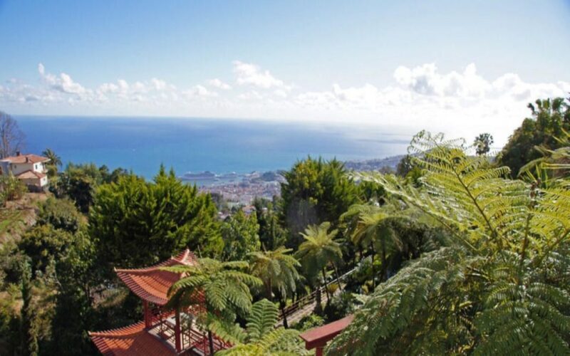 Funchal: Monte Palace Tropical Gardens Tuk Tuk Tour - Key Points