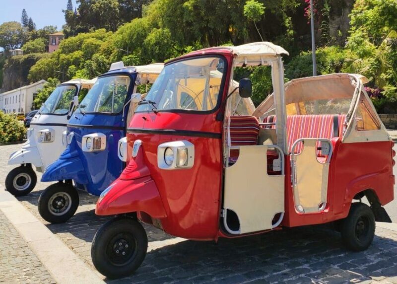 Funchal: Monte Toboggan and Old Town Tour by Tuk-Tuk - The Sum Up