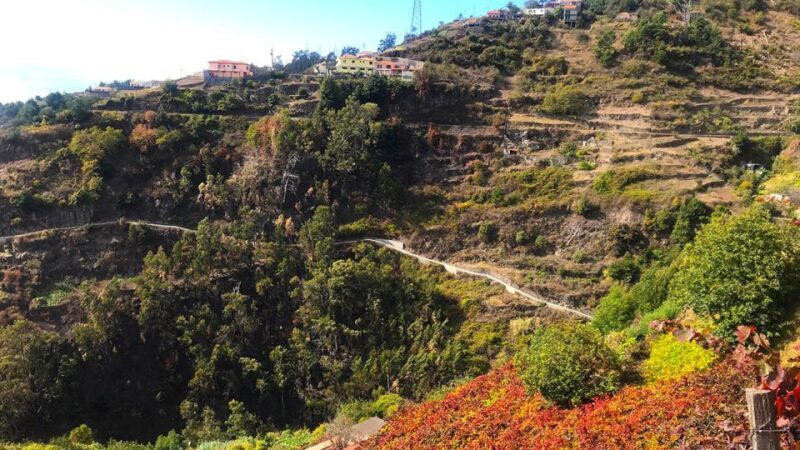 Funchal: Northern Levada Walking Tour - Exploring the Northern Levada Walking Tour in Detail
