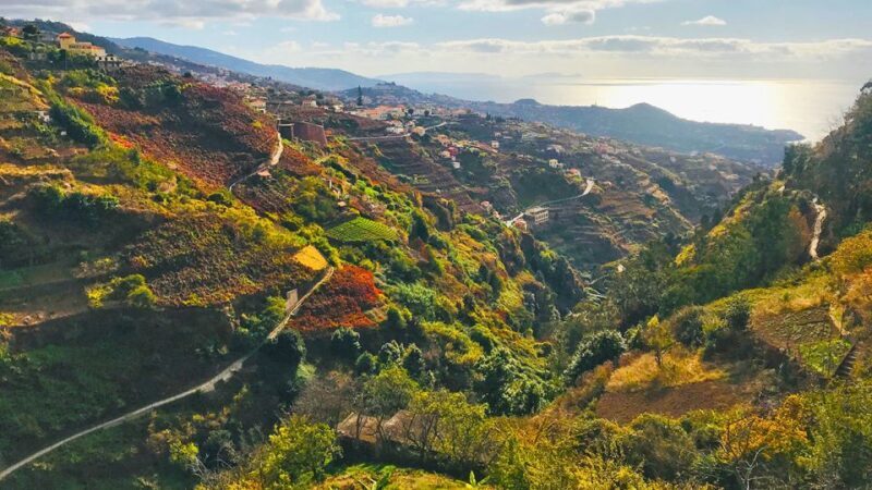 Funchal: Northern Levada Walking Tour - Frequently Asked Questions