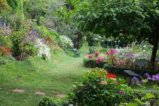 Funchal Old Town & Palheiro Gardens Private Tuk Tuk Tour - The Ride Back: Exploring Funchal’s Hidden Corners