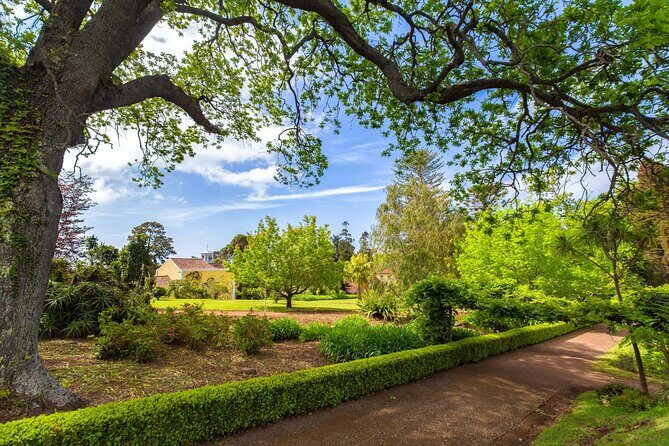 Funchal Old Town & Palheiro Gardens Private Tuk Tuk Tour - Final Thoughts: Is It Worth It?
