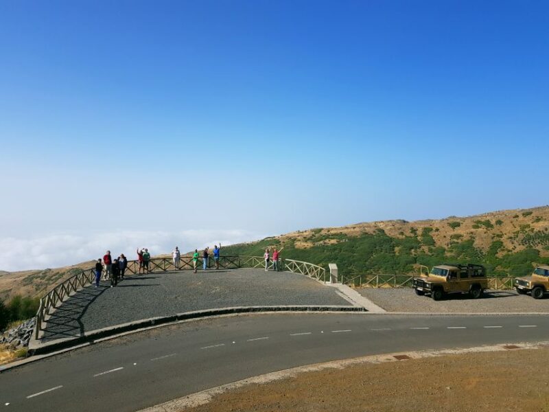 Funchal: Pico Arieiro, Cristo Rei and Dolphins Watching - Key Points