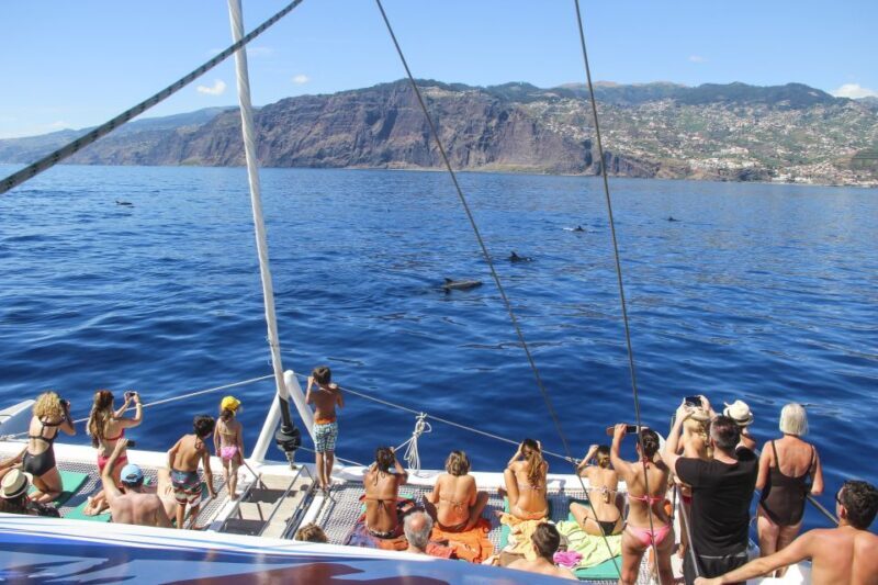 Funchal: Pico Arieiro, Cristo Rei and Dolphins Watching - Final Thoughts