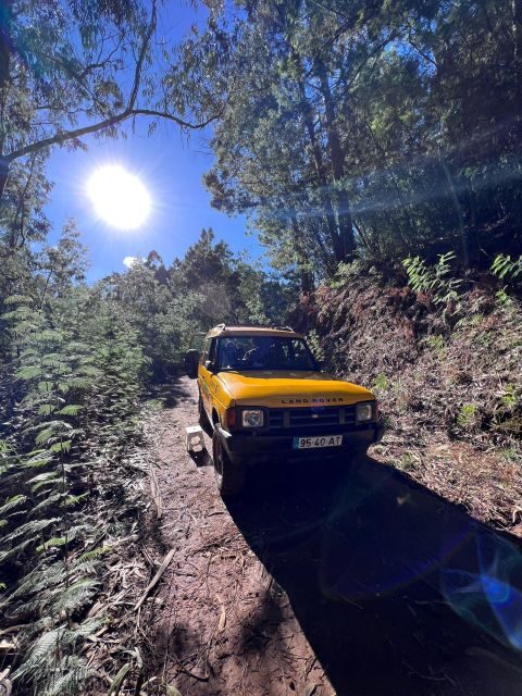 Funchal: Pico do Areeiro, Caniçal, Santana Jeep Safari Tour - FAQ