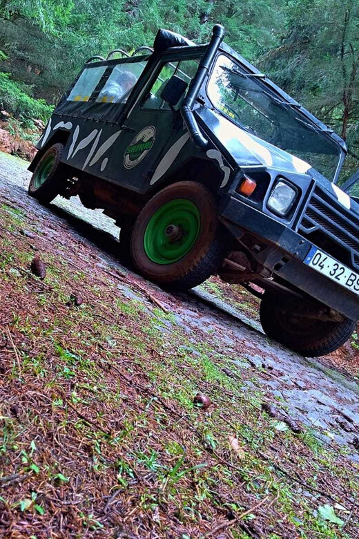 Funchal: Pico do Areeiro to Santana 4x4 East Tour - Pricing & Overall Value