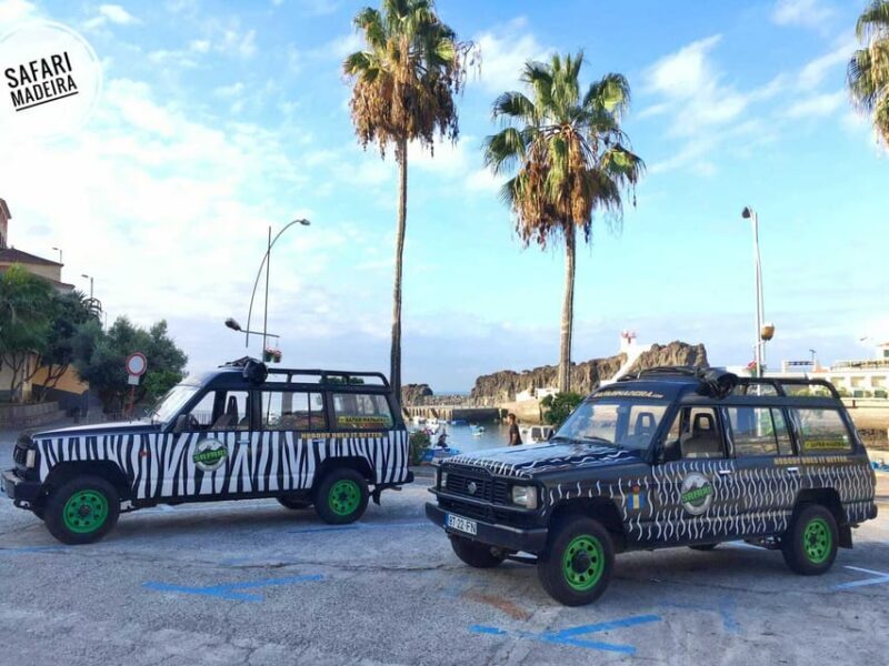 Funchal: Pico do Areeiro to Santana 4x4 East Tour - Who Should Consider This Tour?