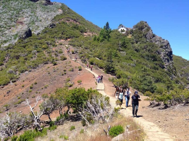Funchal: Pico do Arieiro & Pico Ruivo Hiking Transfer - The Itinerary in Detail: What to Expect