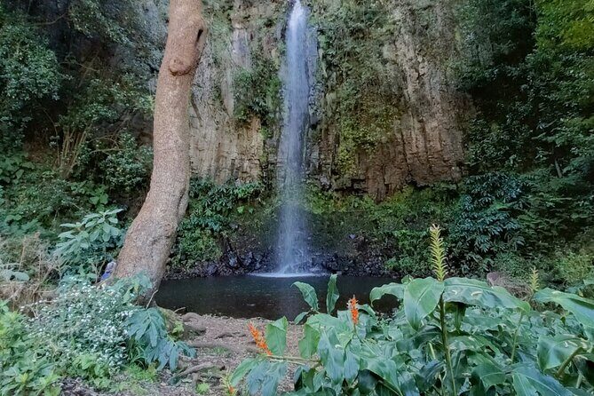 Funchal: Pico do Arieiro to Santana and Ponta de Sao Lorenco - What Makes This Tour Stand Out