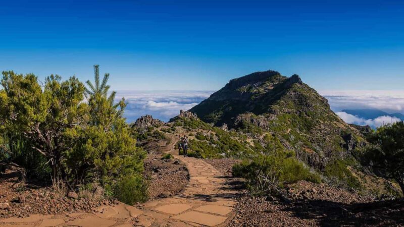 Funchal: PR1.2 Pico Ruivo & Achada Teixeira Hiking Transfer - The Guided Hike to Pico Ruivo