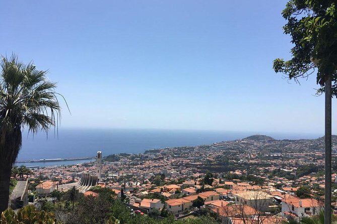 Funchal Private Vehicle Service with Driver for a Half Day or Full Day - How the Service Works