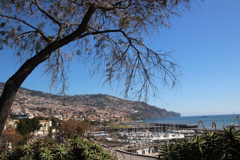 Funchal: Private Walking Tour with a Local - Key Points