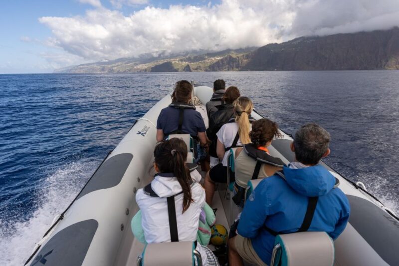 Funchal: RIB Whale Watching Cruise and Optional Dolphin Swim - What Do Past Guests Say?