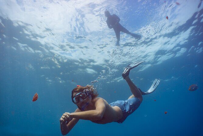 Funchal: Snorkeling Adventure in Eco-Park / Shore or by Boat - Breaking Down the Experience