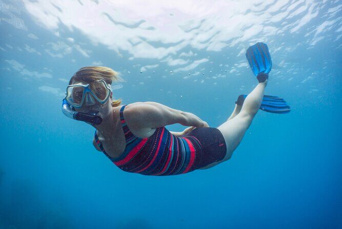 Funchal: Snorkeling Adventure in Eco-Park / Shore or by Boat - The Sum Up