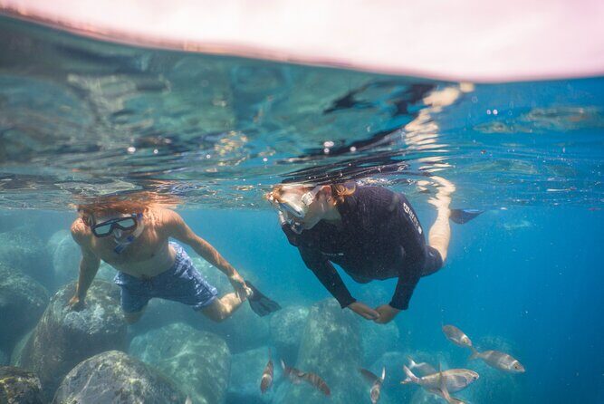 Funchal: Snorkeling Adventure in Eco-Park / Shore or by Boat - FAQs