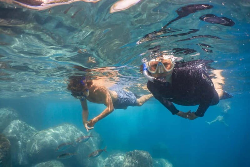 Funchal: Snorkeling Adventure in Eco-Park / Shore or by Boat - The Details of the Snorkeling Experience