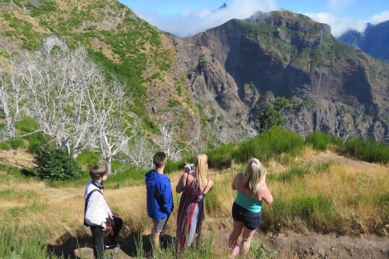 Funchal: Surprise Madeira Highlights for Cruise Guests - The Vehicles & Experience
