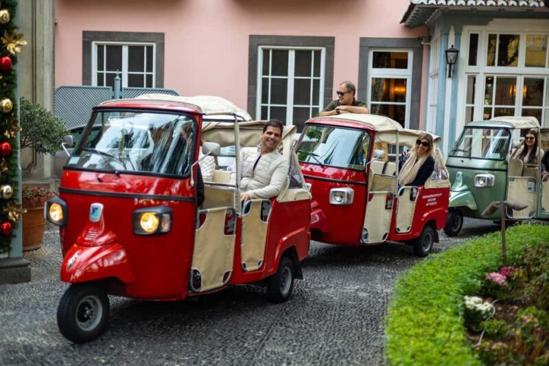 Funchal: Tuk Tuk Tour to the Most Breathtaking Viewpoints - Final Thoughts: Who Would Love This Tour?