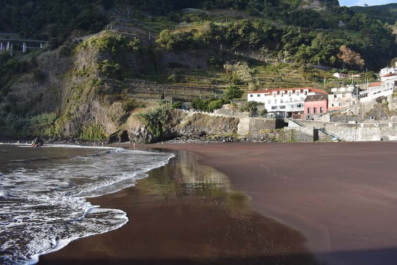 Funchal: Waterfalls, Volcanic Pools, and Fanal Forest Tour - What to Expect from the Tour