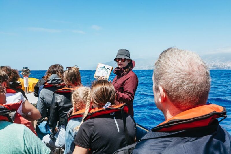 Funchal: Whale and Dolphin Watching Speed Boat Tour - Why Choose the Funchal Whale and Dolphin Watching Speed Boat Tour?