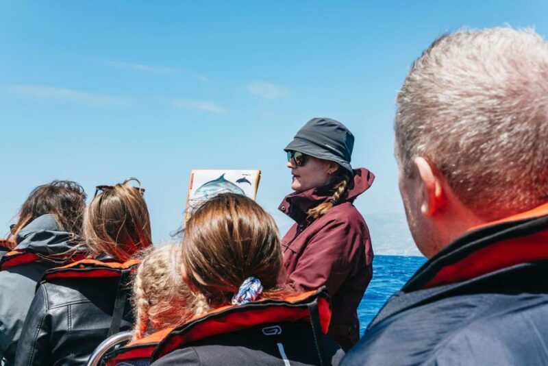 Funchal: Whale and Dolphin Watching Speed Boat Tour - Summary of Value and Who Will Love It