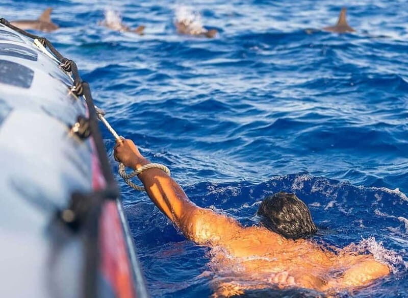 Funchal: Whale Watching and Swimming with Dolphins Cruise - Authentic Experiences and Real Feedback