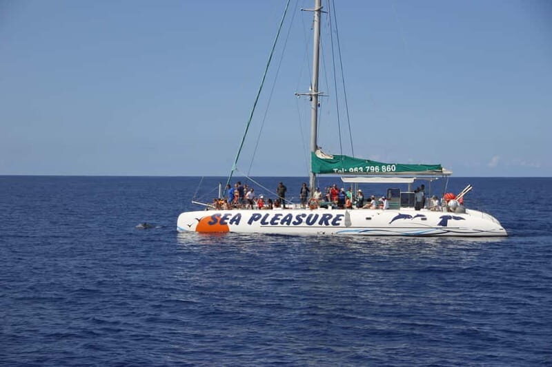 Funchal:Hop-on Hop-off Bus & Whale & Dolphin boat Excursion - FAQs