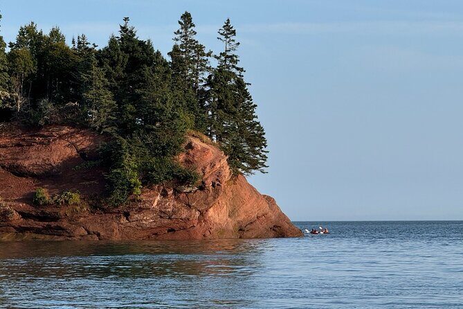 Fundy Shore Tour By Bus - Introduction