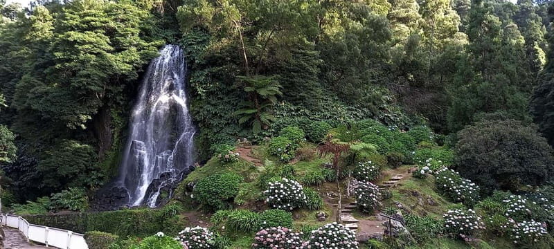 Furnas: Hot Springs, Crater Lake & Geothermal Wonders - An Overview of the Tour