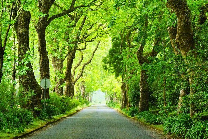 Furnas: Mystic Tour (w/Dinner) - Hot Springs - Key Points