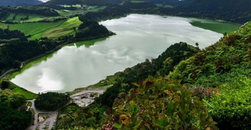 Furnas: Tea Plantations, Lake and Volcano Guided Tour - The lowdown on this Azores adventure