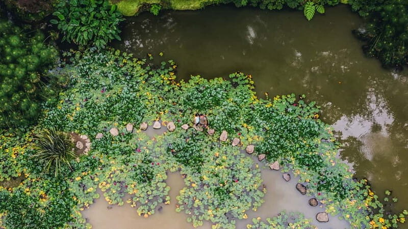 Furnas & Terra Nostra Gardens Biologist-guided e-Tour +lunch - The Full Experience: A Deep Dive into the Tour Itself