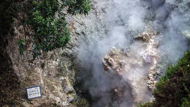 Furnas & Terra Nostra Gardens Biologist-guided e-Tour +lunch - Final Thoughts: Is It Worth It?