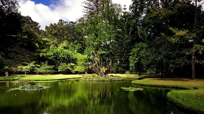 Furnas & Terra Nostra Gardens Biologist-guided e-Tour +lunch - FAQ